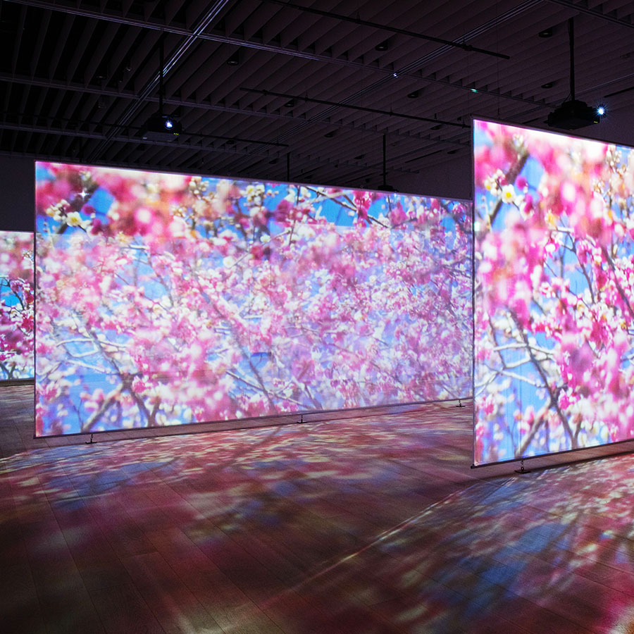 GALLERY | TOKYO NODE